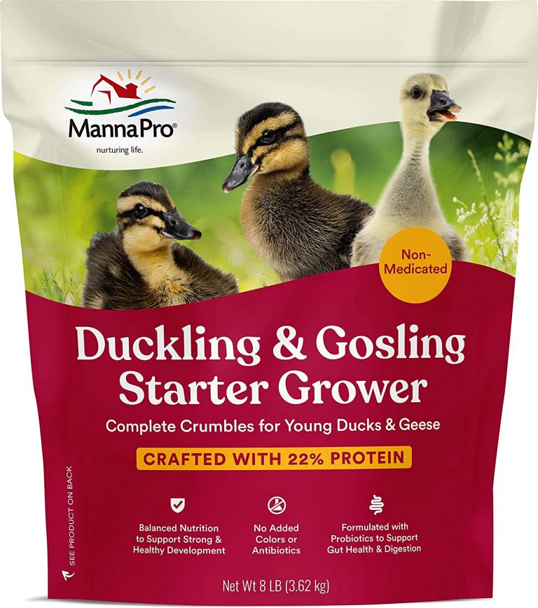 7 Best Duck Food in 2023 [Reviewed] - The Poultry Feed