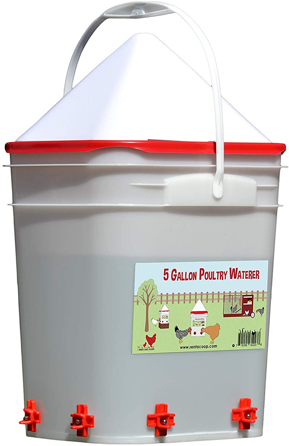 6 Best Chicken Water Nipple Bucket - The Poultry Feed