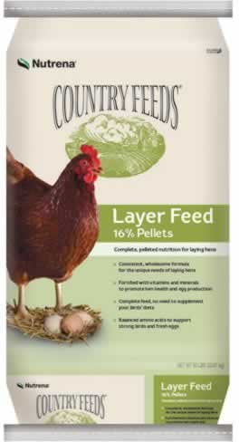 6 Best Laying Mash for Chickens in 2022 - The Poultry Feed