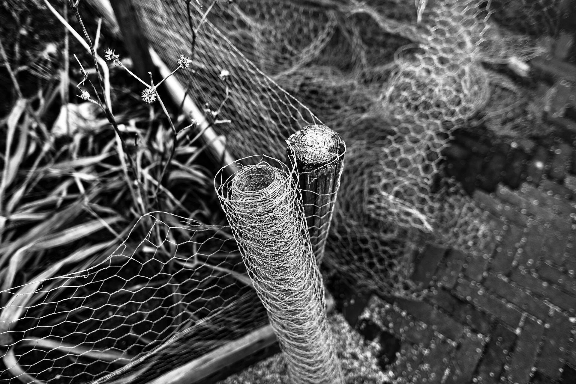 DIY Chicken Wire Fence The Best Step by Step Guide The Poultry Feed DIY Chicken Wire Fence The Best Step by Step Guide The Poultry Feed
